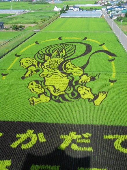The Amazing Rice Paddy Art of Japan | Amusing Planet